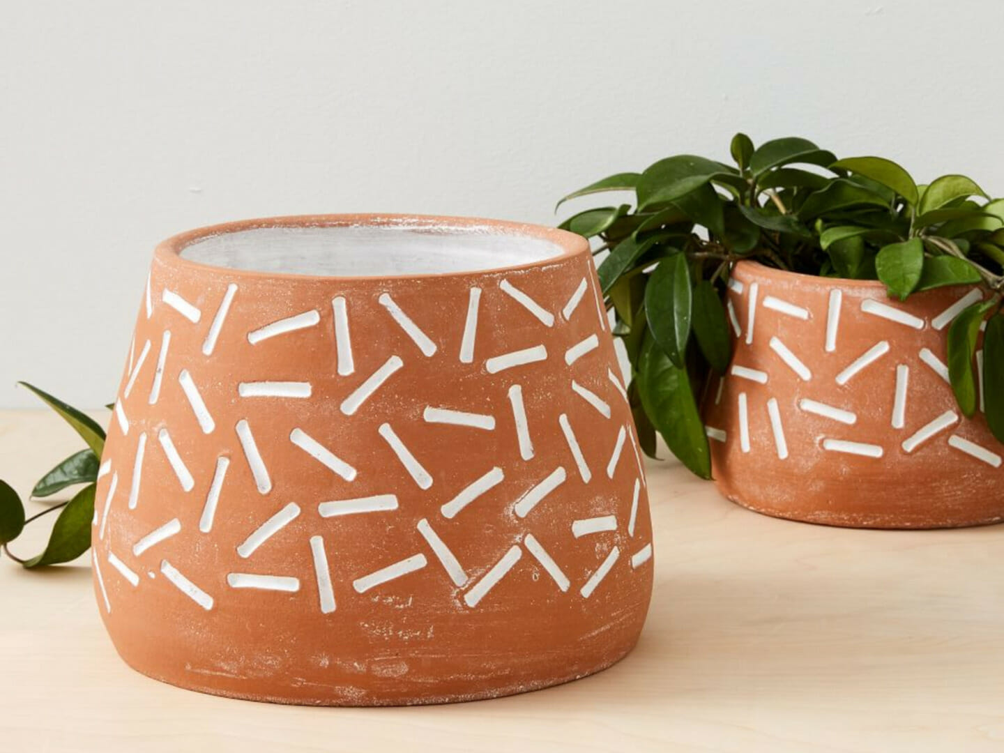 Pot Plant Pots – Design Trend of The Month | ModularWalls