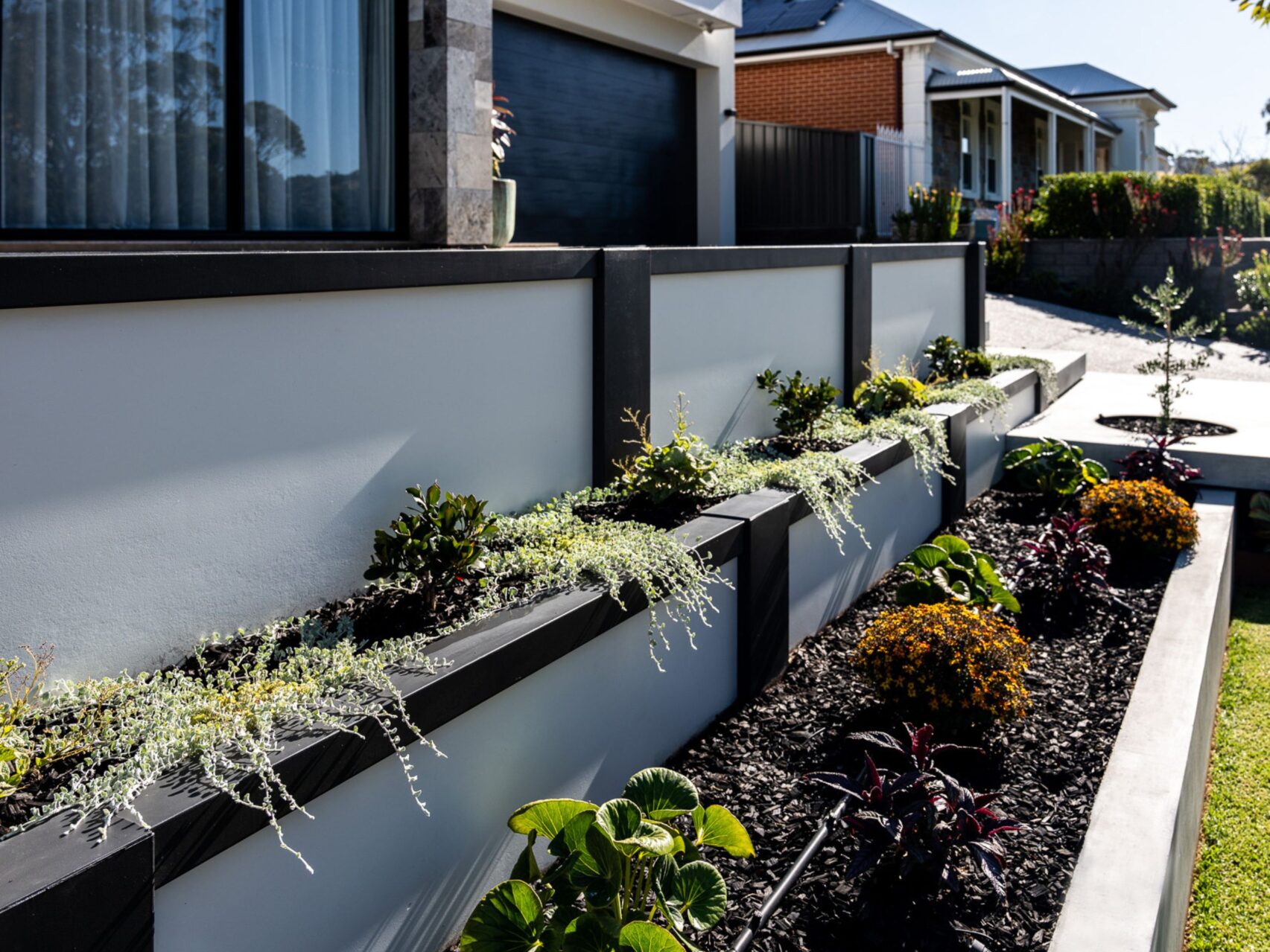 Top 10 Cascading Plants for Retaining Walls | ModularWalls