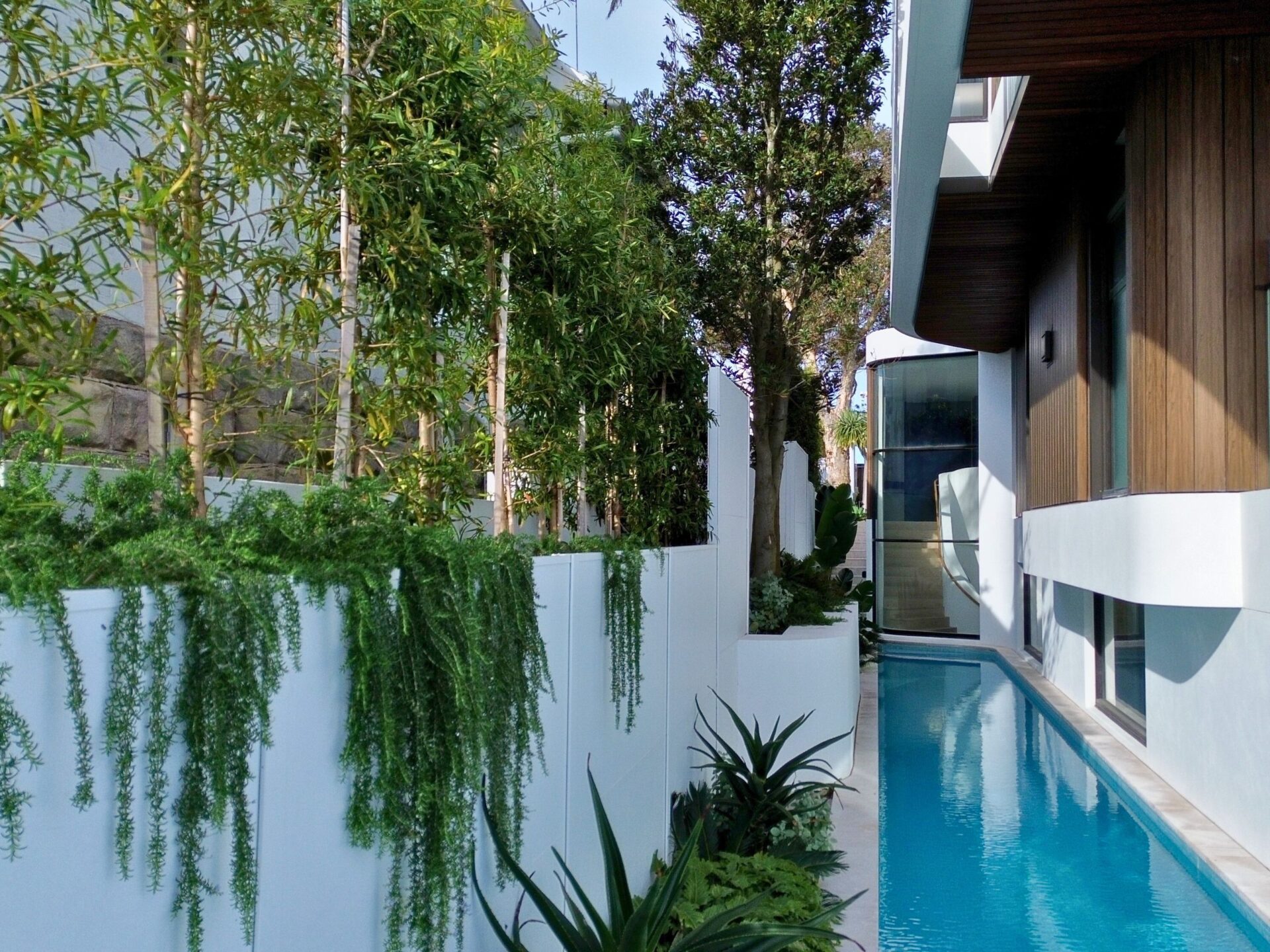 Top 10 Cascading Plants for Retaining Walls | ModularWalls