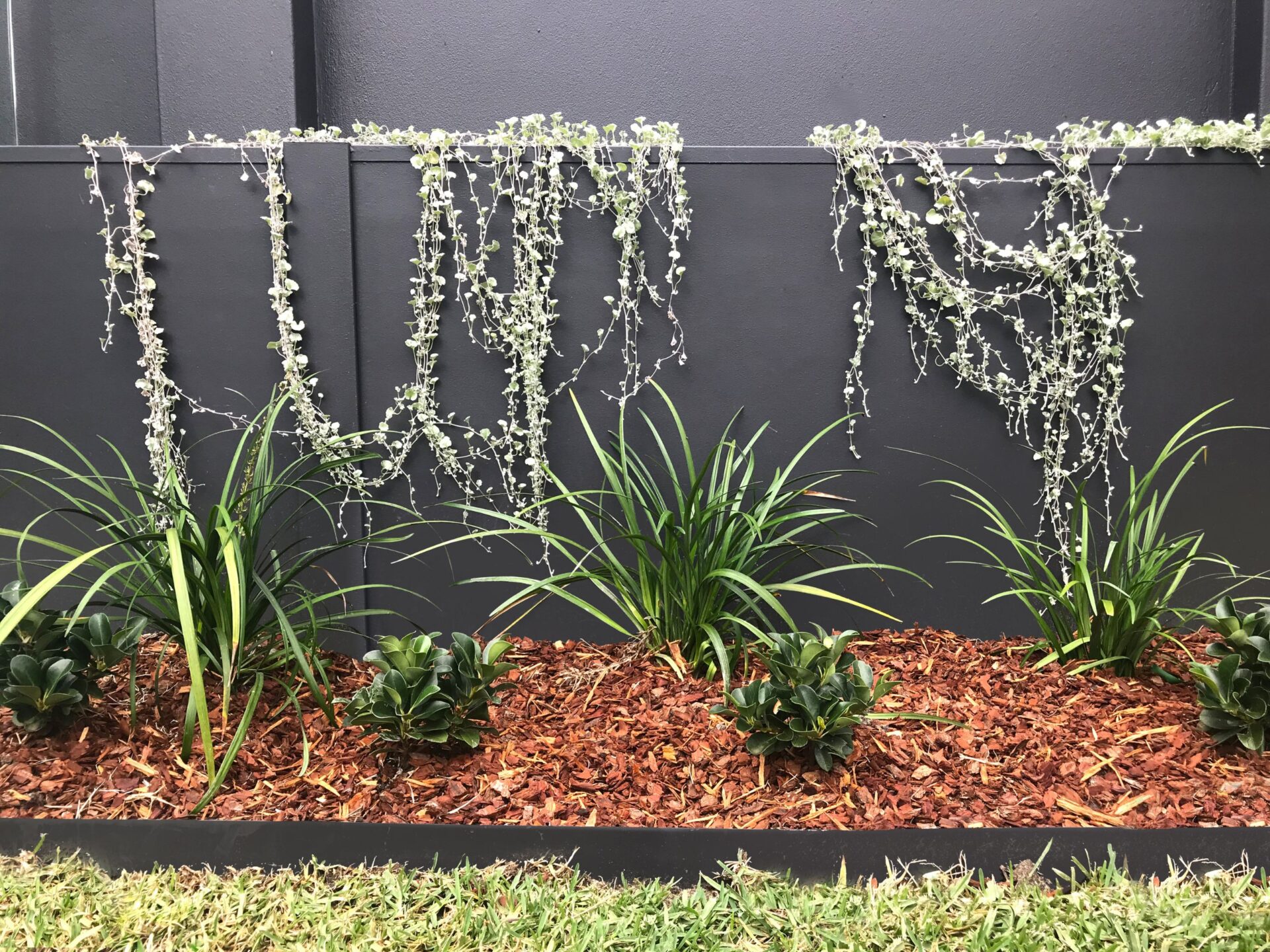 Top 10 Cascading Plants for Retaining Walls | ModularWalls