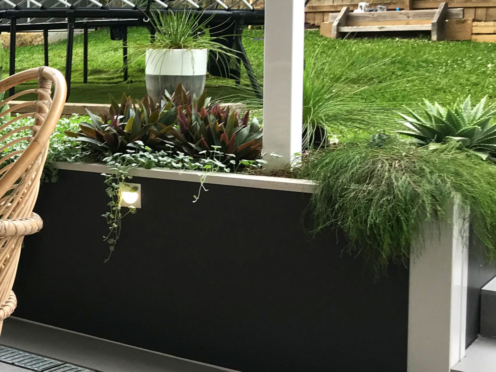 5 Cascading Plants for Retaining Walls | ModularWalls