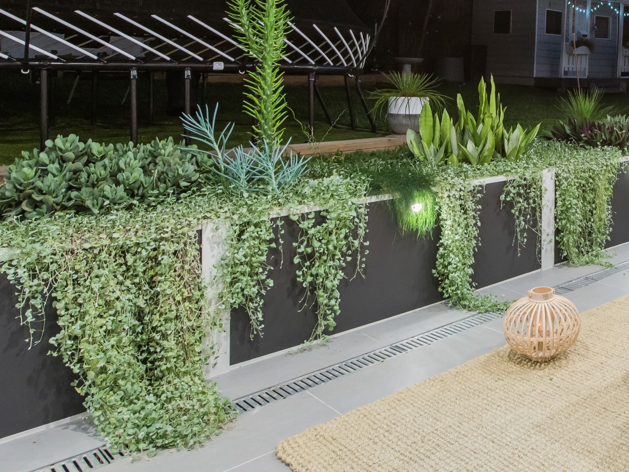 Top 10 Cascading Plants for Retaining Walls | ModularWalls