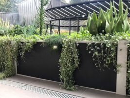 Top 10 Cascading Plants for Retaining Walls | ModularWalls