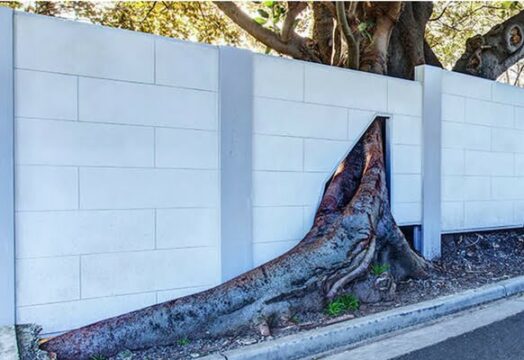 Tree's a Crowd: A Rose Bay Boundary Wall | ModularWalls