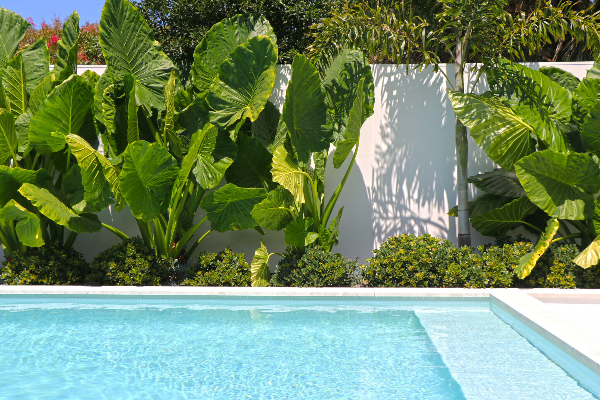 Pool Walls & Fencing Systems | ModularWalls