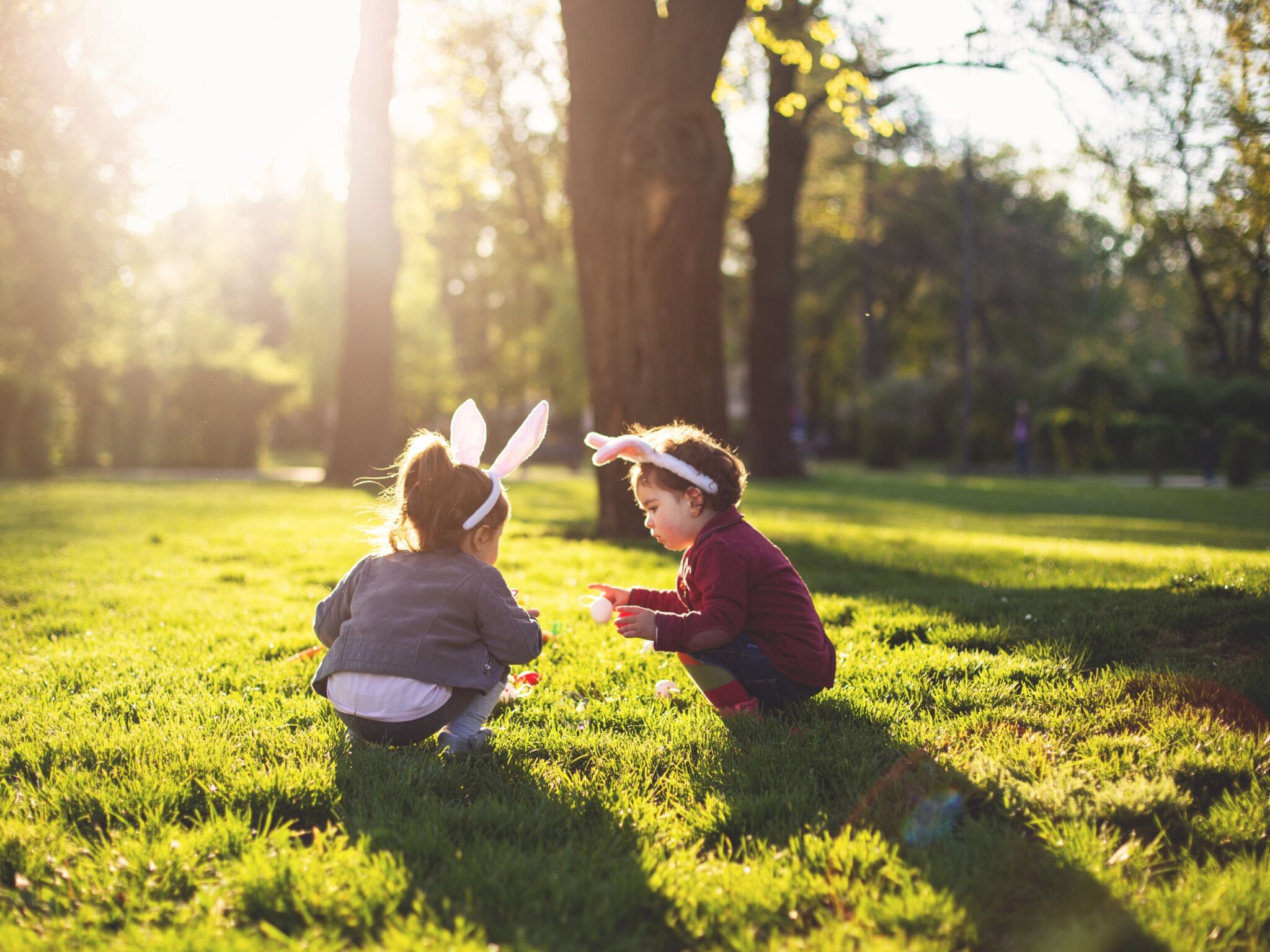 Egg-straordinary DIY Easter Decorations | ModularWalls