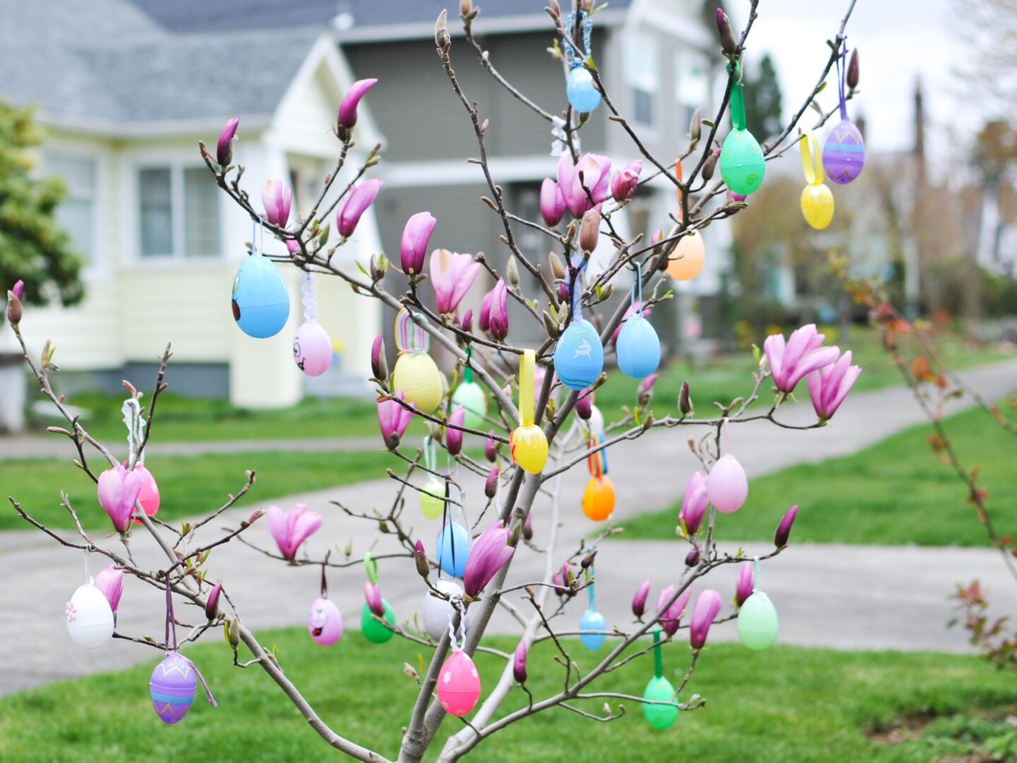 8 DIY Easter Crafts the Whole Family Will Love | ModularWalls